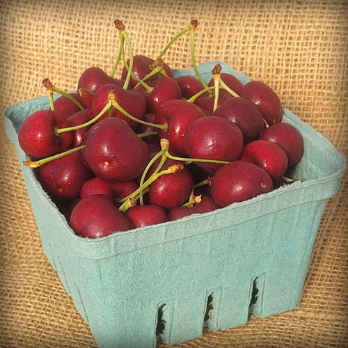 Wild Flight Farm | Welcome to our Wild Flight Farm online store! | Mar...