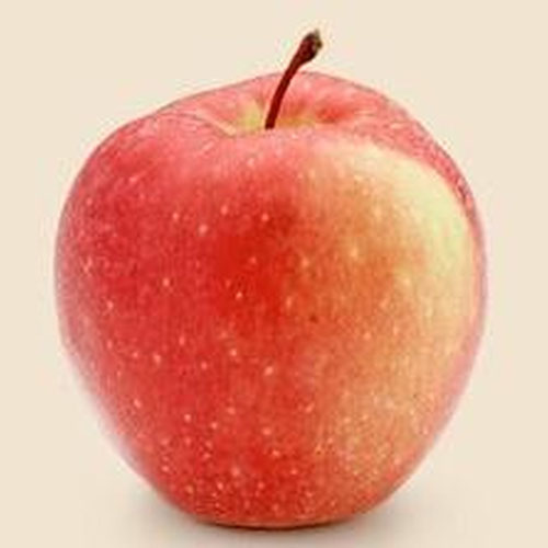 Wild Flight Farm | Welcome to our Wild Flight Farm online store! | Mar...