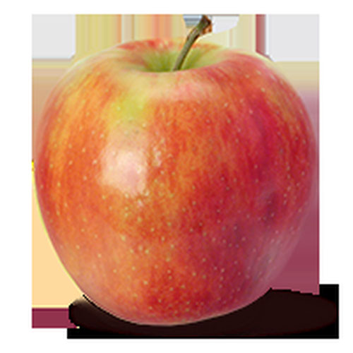 Wild Flight Farm | Welcome to our Wild Flight Farm online store! | Mar...