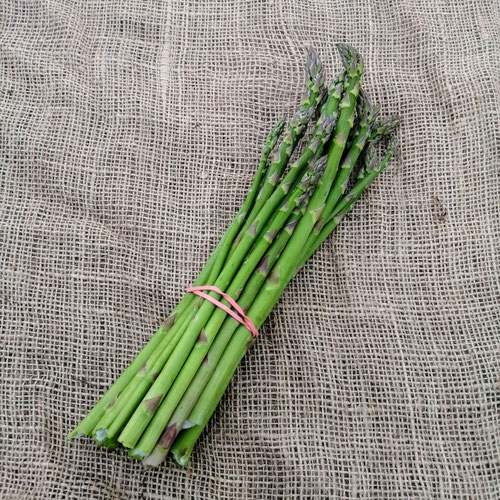 Wild Flight Farm | Welcome to our Wild Flight Farm online store! | Mar...