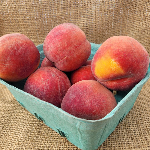 Wild Flight Farm | Welcome to our Wild Flight Farm online store! | Mar...