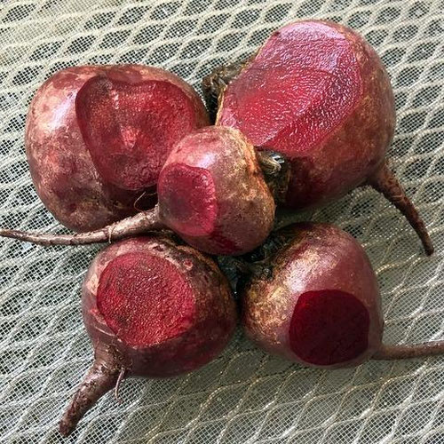 Wild Flight Farm | Welcome to our Wild Flight Farm online store! | Mar...