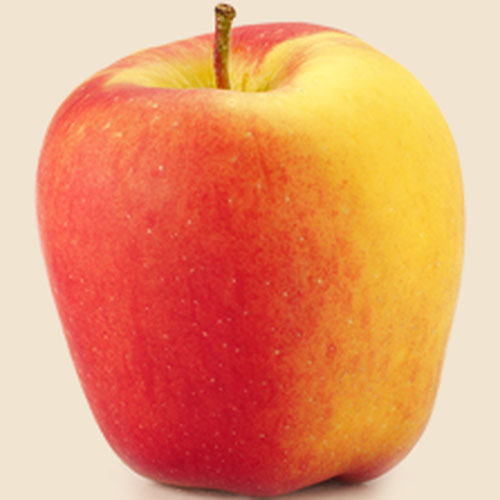 Wild Flight Farm | Welcome to our Wild Flight Farm online store! | Mar...