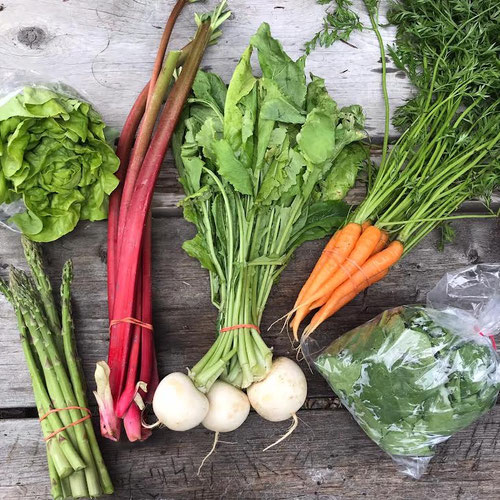 Pilgrims' Produce | Welcome to our online Farm Store! | Spallumcheen,...