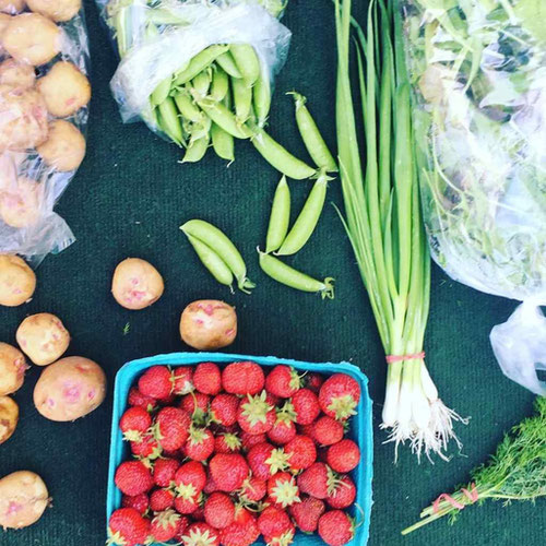 Pilgrims' Produce | Welcome to our online Farm Store! | Spallumcheen,...