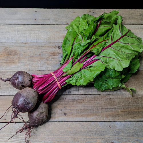 North Lakeshore Garden | Welcome to our online farm store! | Glenwood,...