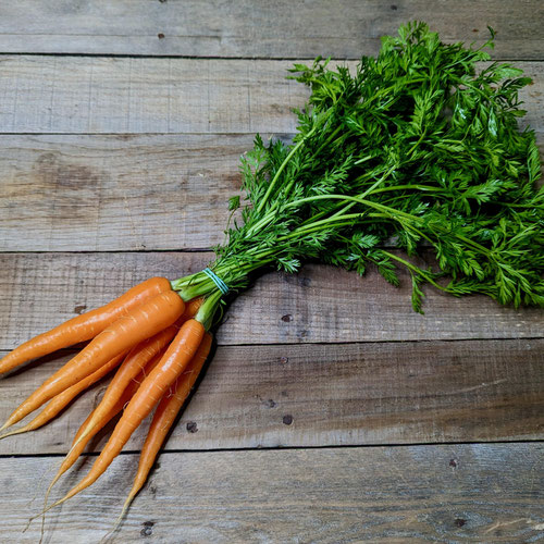 North Lakeshore Garden | Welcome to our online farm store! | Glenwood,...