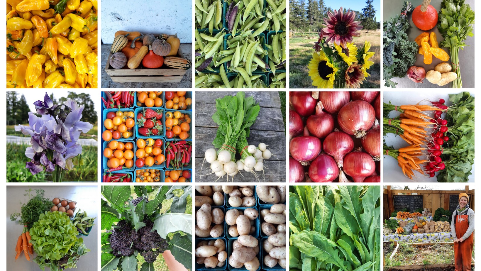 Peas n' Carrots Farm | Welcome to the Peas n' Carrots Online Farm Shop