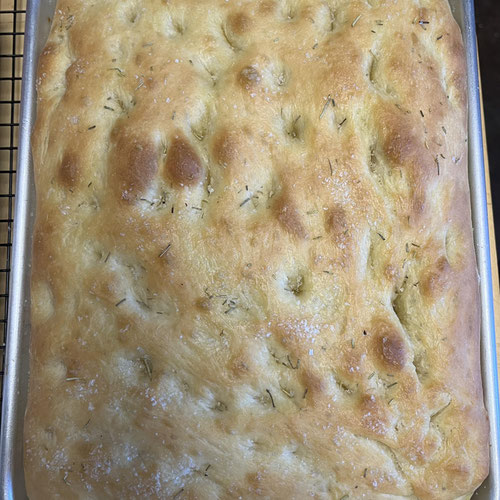 Blackberry Pond Farm | WELCOME TO THE CSA MEMBERS ONLY STORE | Martin,...