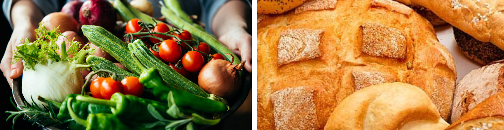 Milk Lady CSA | Welcome to Milk Lady EBT CSA Sign Up Website! | Silver...