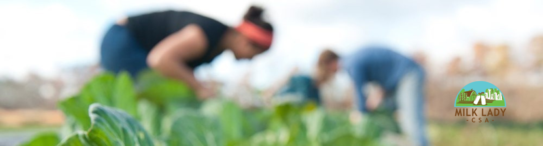 Milk Lady CSA | Choose a CSA Option Here! | Silver Spring, MD, US