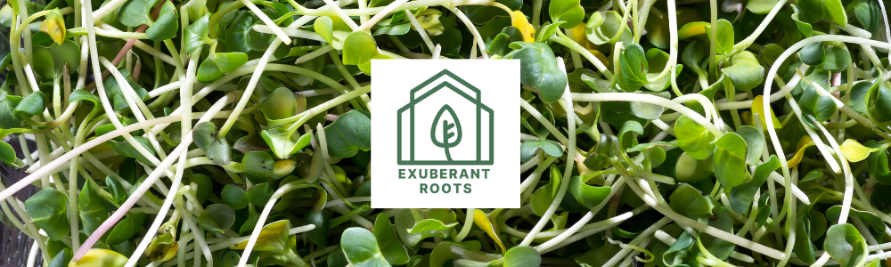 Exuberant Roots | Welcome to the Exuberant Roots Store!