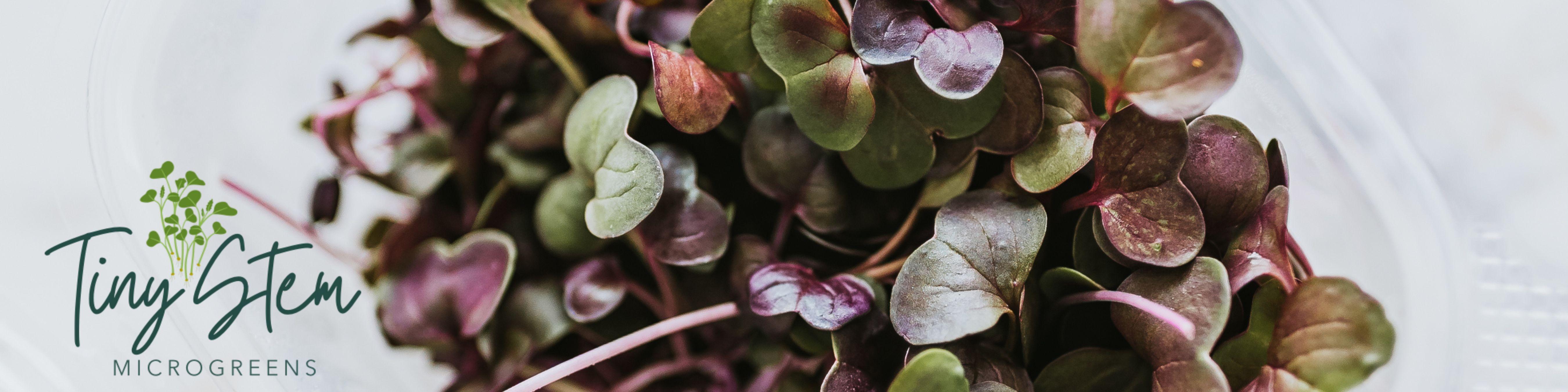Tiny Stem Microgreens | Welcome to our store...Subscribe to SAVE 15%!!...