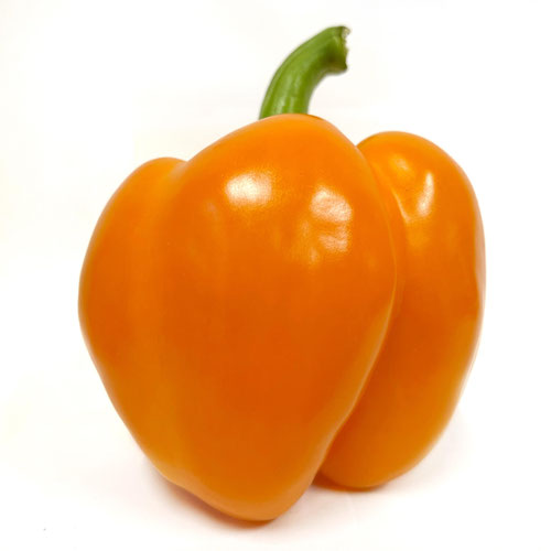 Steel Pony Farm | Fresh. Healthy. Local. | Red Deer County, AB, CA