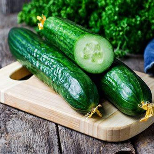 Steel Pony Farm | Fresh. Healthy. Local. | Red Deer County, AB, CA