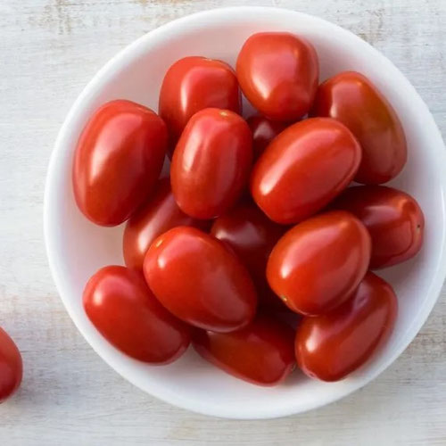 Steel Pony Farm | Fresh. Healthy. Local. | Red Deer County, AB, CA