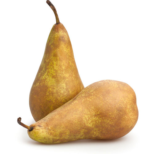 Steel Pony Farm | Fresh. Local. Healthy. | Red Deer County, AB, CA