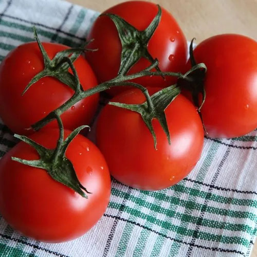 Steel Pony Farm | Fresh. Healthy. Local. | Red Deer County, AB, CA