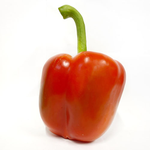 Steel Pony Farm | Fresh. Healthy. Local. | Red Deer County, AB, CA