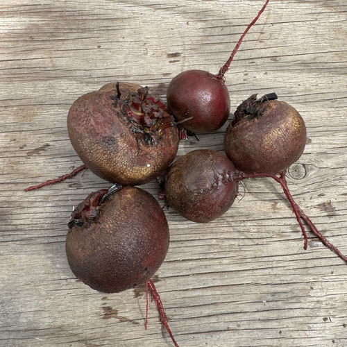 Ahiki Acres | Welcome to our Online Marketplace! | Waimanalo, HI, US