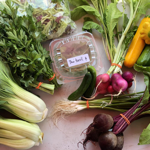 Verdant Fields Farm | Welcome to our store! | Chelmsford, ON, CA