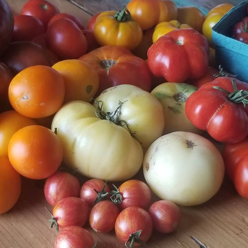 Tomatoes - Heirloom Mixed | Canfield Estate Regenerative Farm | Canfie...