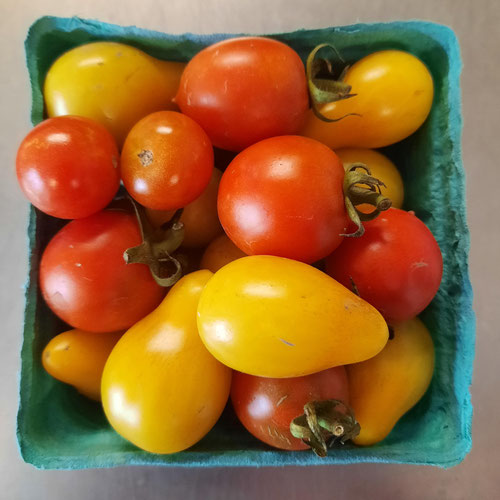 Tomatoes - Mixed Cherry | Canfield Estate Regenerative Farm | Canfield...