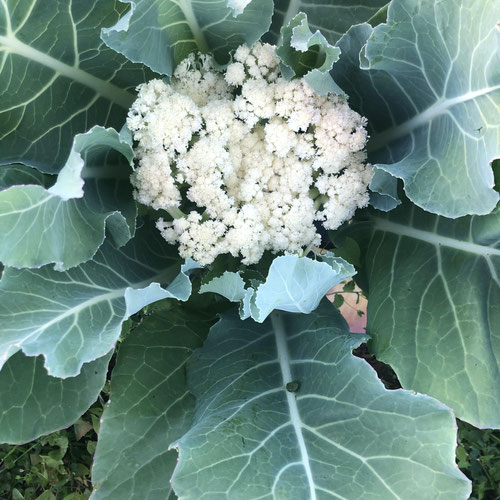 Local Bound | Welcome to Local Bound!