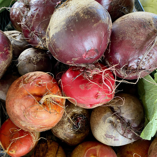 Good Soil Farmstead | Good Soil Farmstead | Cookeville, TN, US