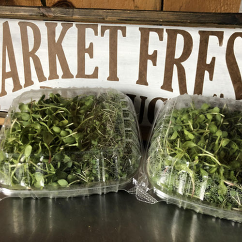 Big Maple Family Farm, LLC | Big Maple Family Farm | Ridgway, PA, US