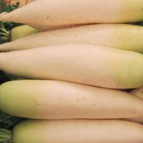Pickle Boy Foods | Pickle Boy Foods | Langley Township, BC, CA