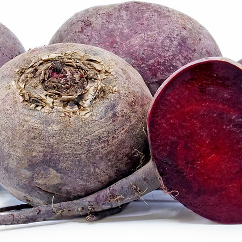 Capital Roots | Institutional Markets | Troy, NY, US