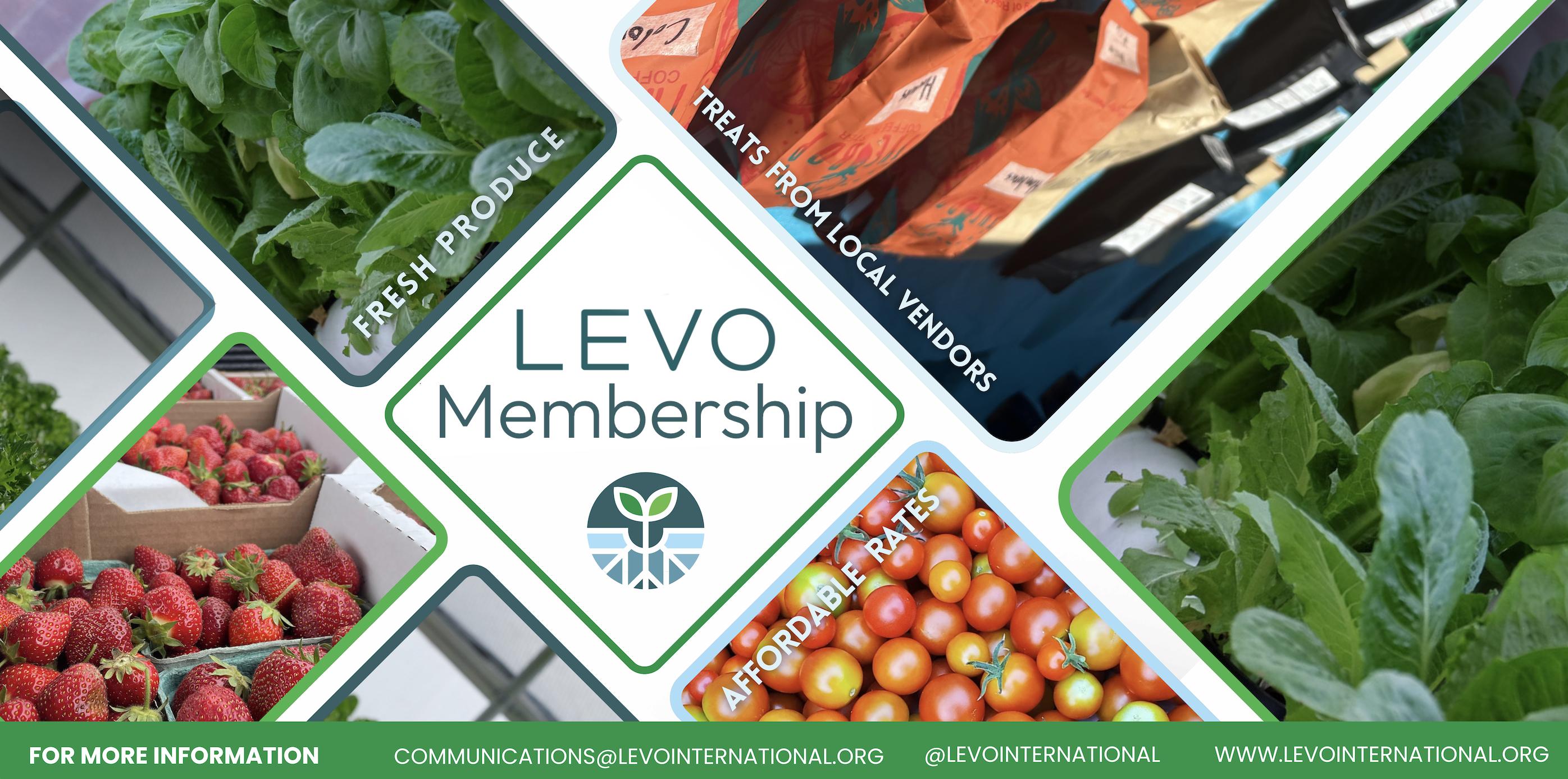 Levo International | Welcome to the Levo Membership Store | Hartford,...