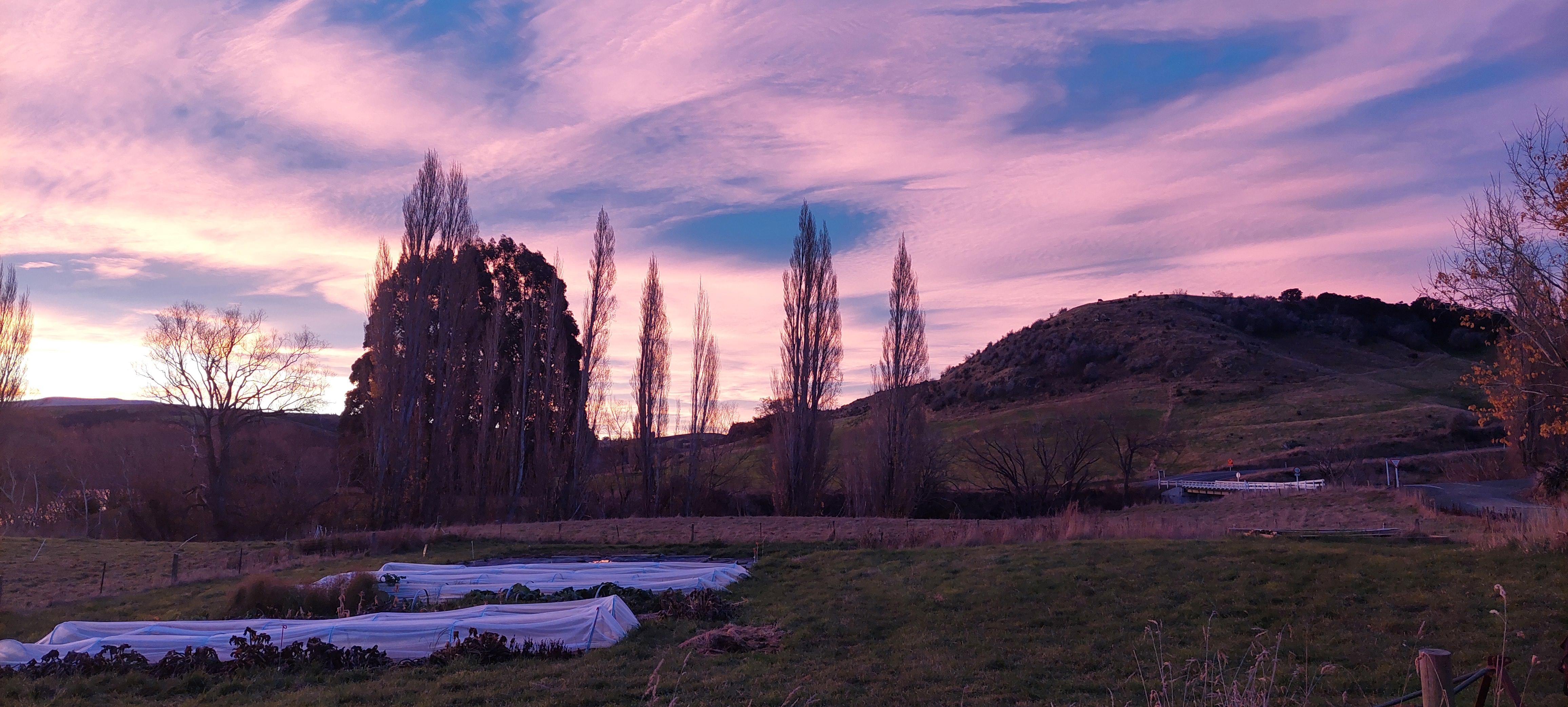 ARK MARKET GARDENS | Welcome to Ark Market Gardens | Tuapeka Mouth, Ot...