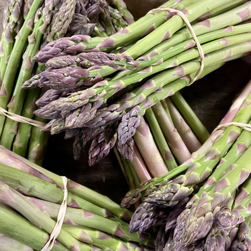 North of Boston: Farm and Local Food Hub | North of Boston | Boxford,...