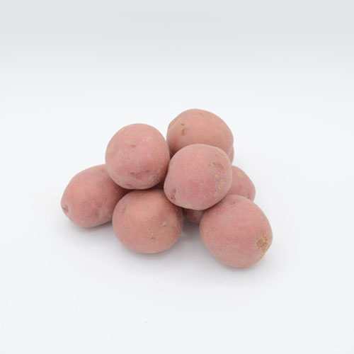 Zeus Produce Inc. | Welcome to our Foodservice Market | Toronto, ON, C...