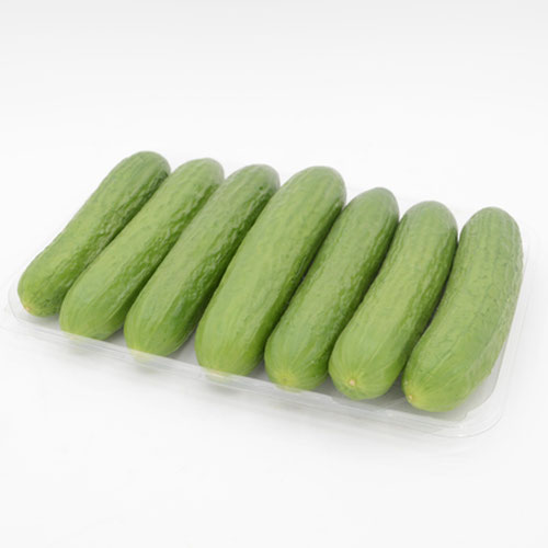 Cucumber - Mini - Case *12x6* | Zeus Produce Inc. | Toronto, ON, CA