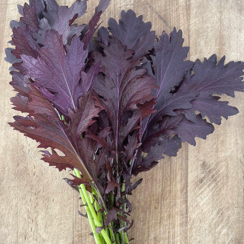 Boerson Farm Online Store | Welcome! | Green Lake, WI, US