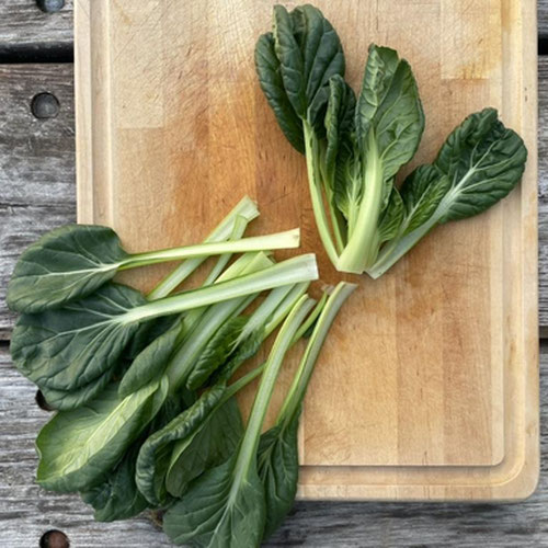 Boerson Farm Online Store | Welcome! | Green Lake, WI, US