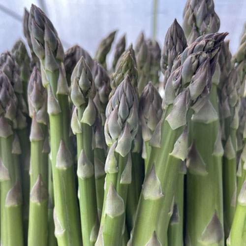 Boerson Farm Online Store | Welcome! | Green Lake, WI, US