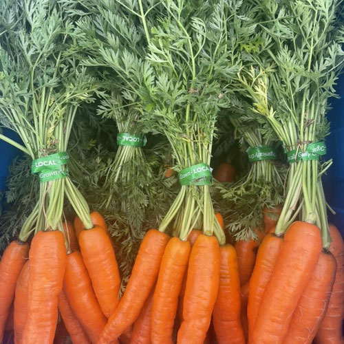 Boerson Farm Online Store | Welcome! | Green Lake, WI, US