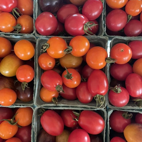 Boerson Farm Online Store | Welcome! | Green Lake, WI, US