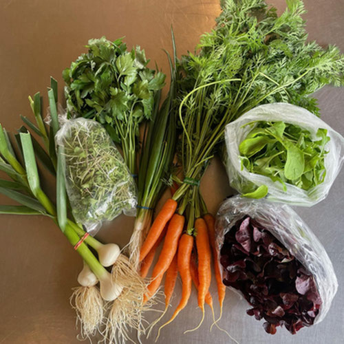 Boerson Farm Online Store | Welcome! | Green Lake, WI, US