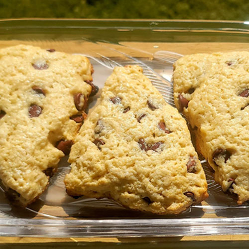 Blackberry Pond Farm | WELCOME TO THE CSA MEMBERS ONLY STORE | Martin,...