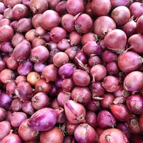 Three Rivers Community Farm | Welcome to Our Online Farmstand! | Elsah...
