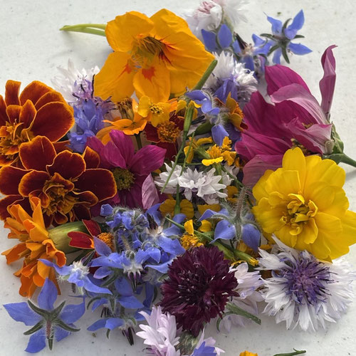 Timberview Farmstead | Welcome to Our Greenhouse and Garden | Fort Wor...