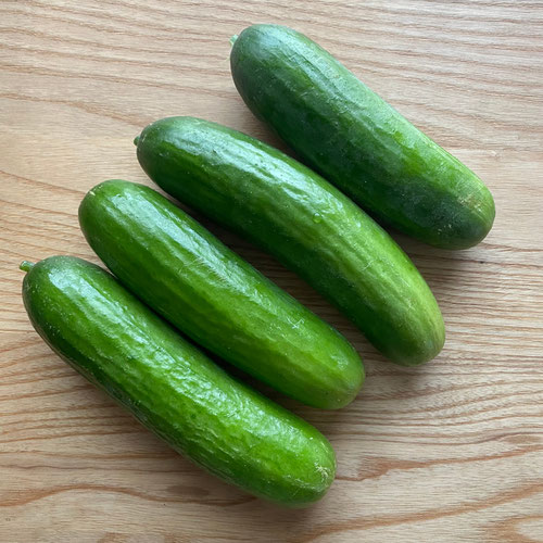 Cucumber Mini | Alberta | Blue Mountain Biodynamic Farms | Carstairs,...