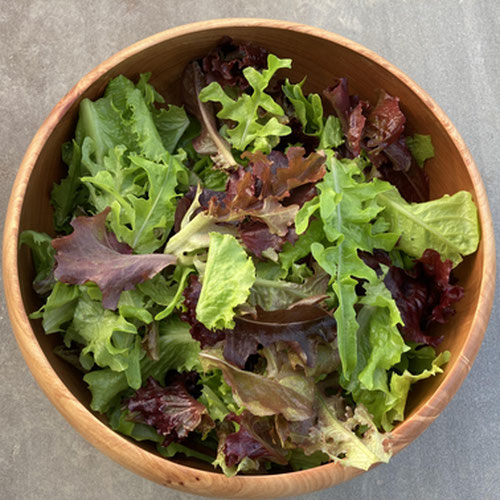 Organic Salad mix | Thirsty Fruit Farm | Slaterville Springs, NY, US