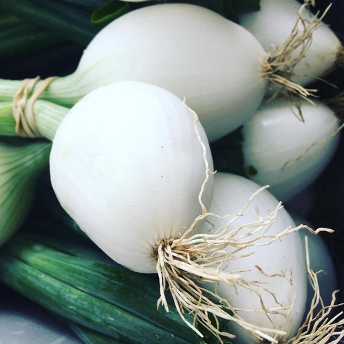 Légumes biologiques | Le Paysan Gourmand