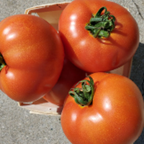 Blue Stone Farm | Blue Stone Farm | Otsego, MI, US